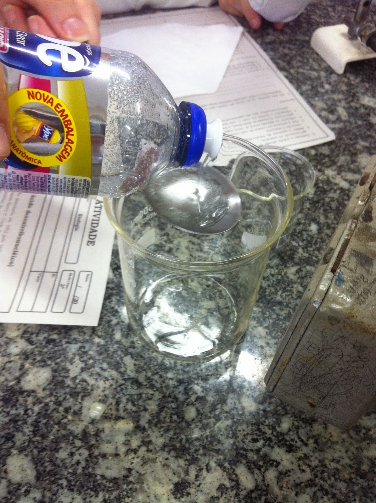 Biotecnologia - O DNA Pela Vida: Experimento: Extração do DNA da cebola